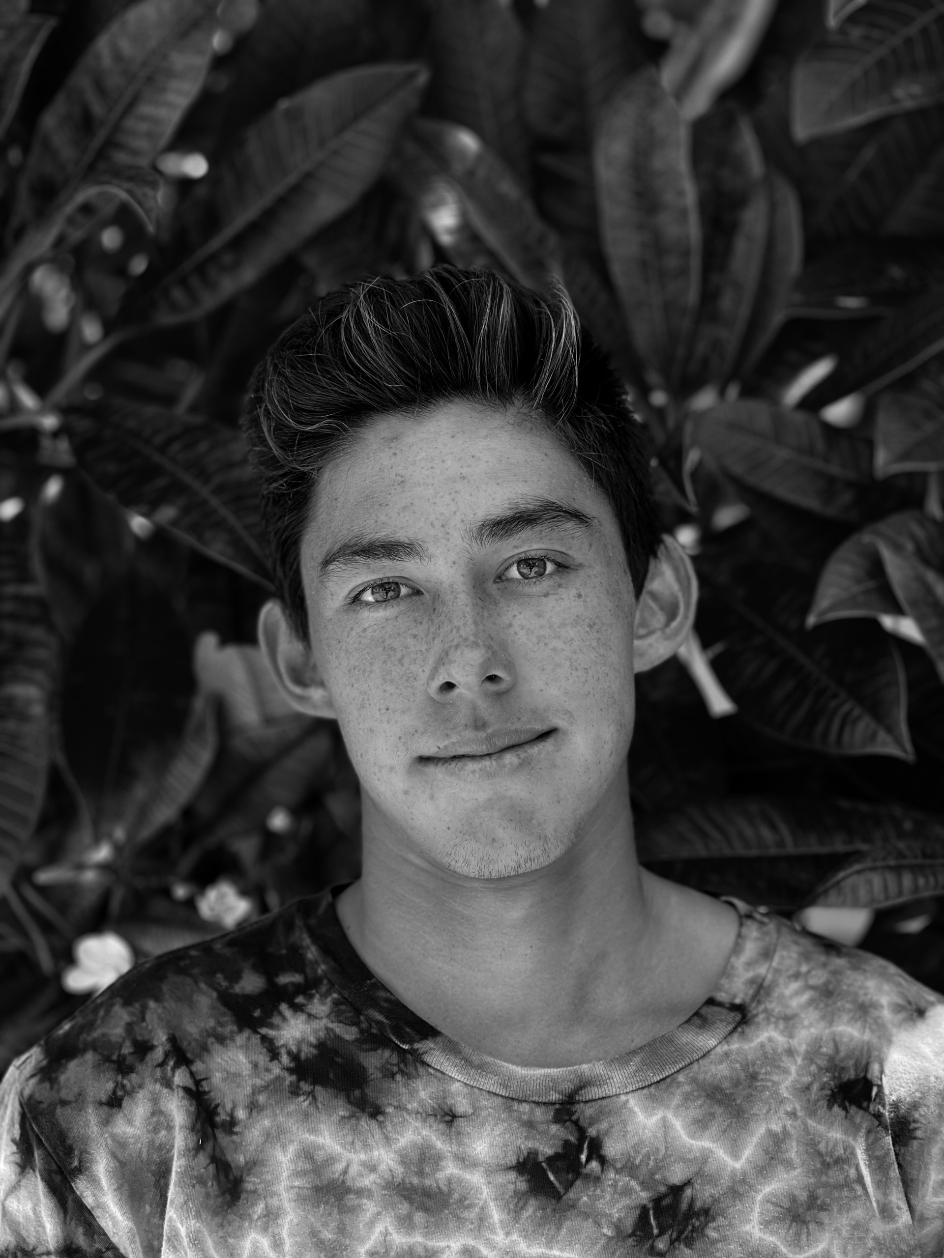 The Collective | The Twin Fin Hotel